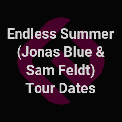 Endless Summer (Jonas Blue & Sam Feldt) Tour | Edmtrain